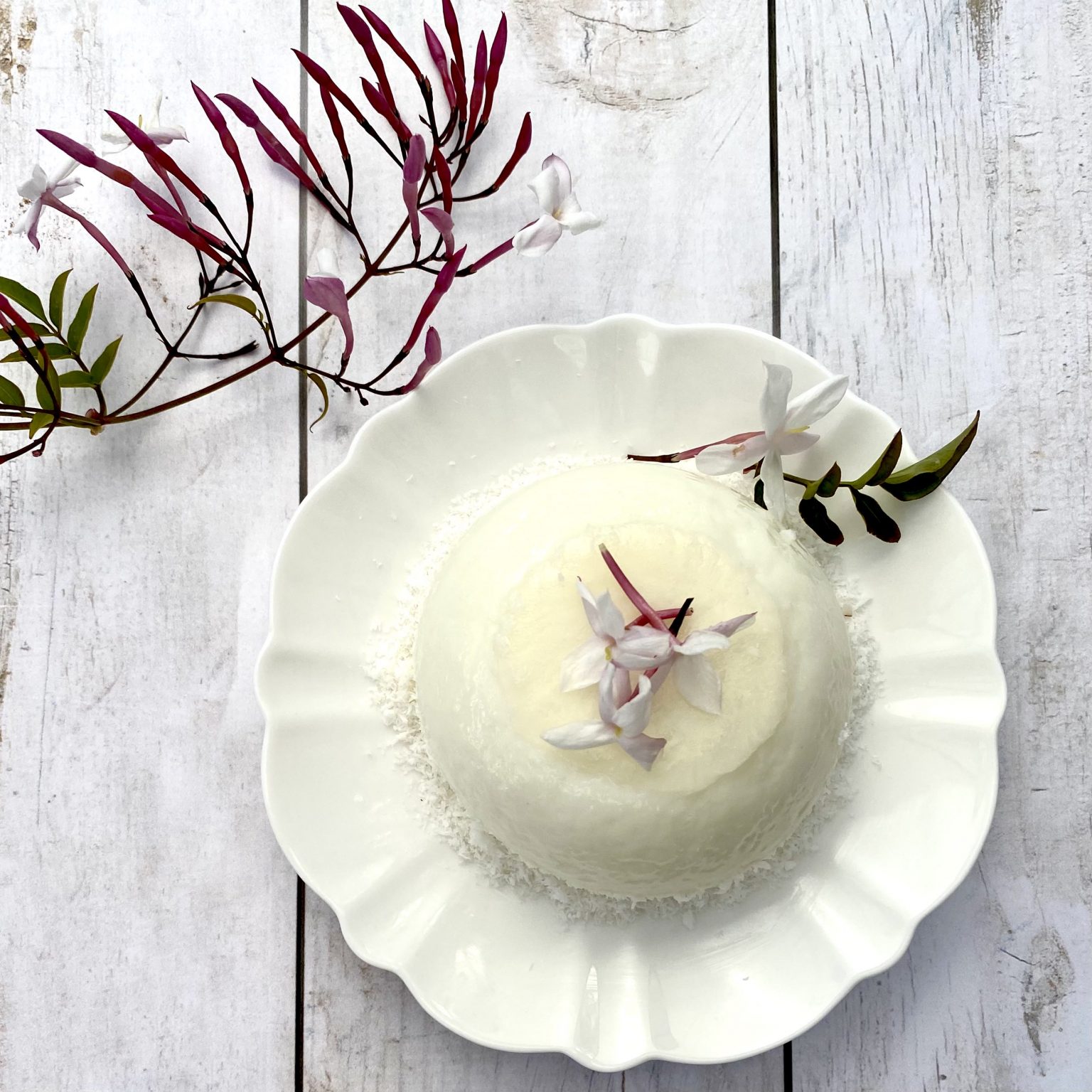 Jasmine and Coconut Panne Cotta - Grace Stevens